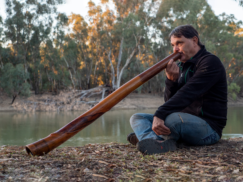 Wamba Wamba - Jajoo Warrngara