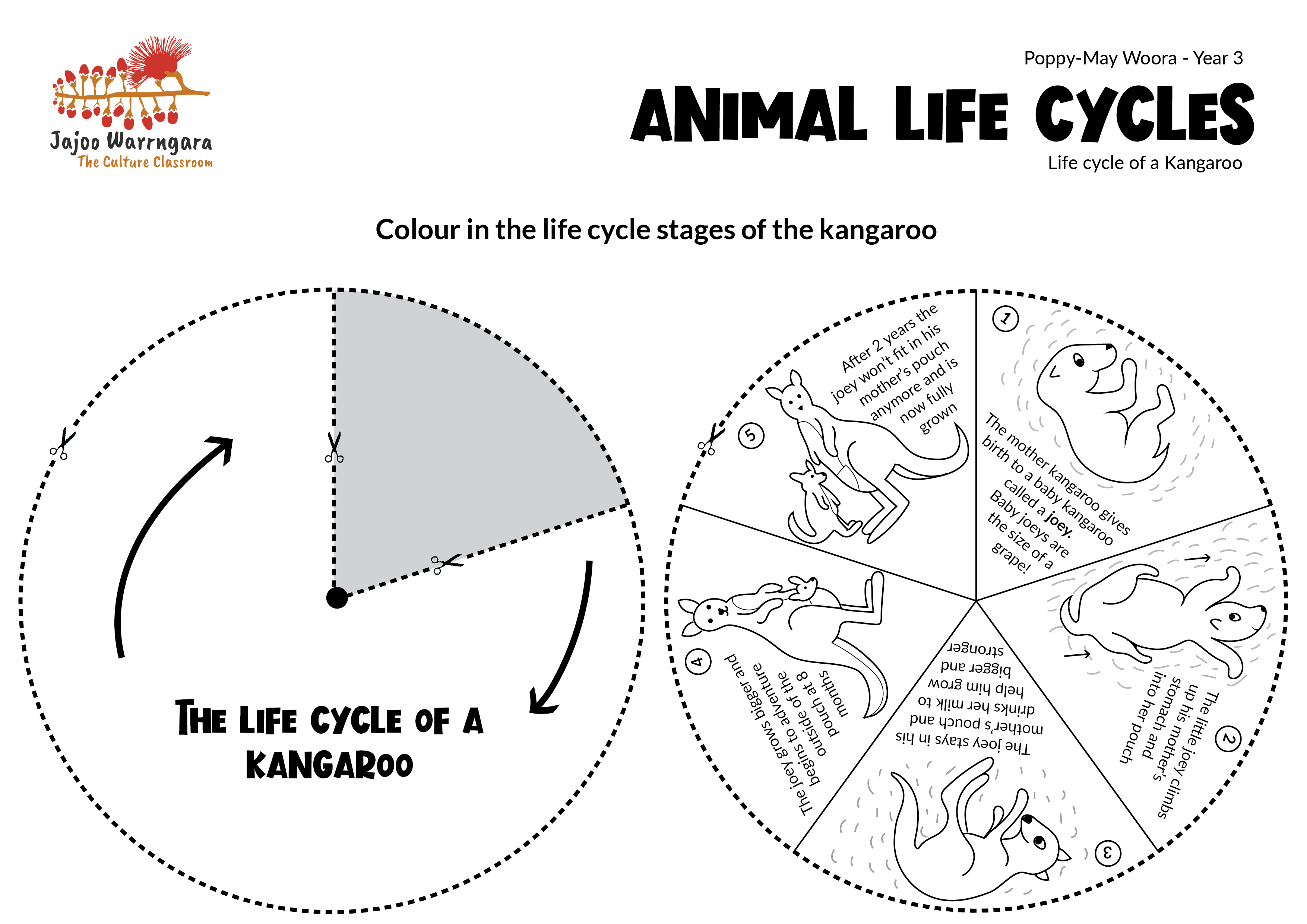 Lifecycle Wheel - Jajoo Warrngara